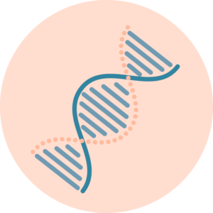 WES | Premarital Screening Genetic Test | Igenomix ME