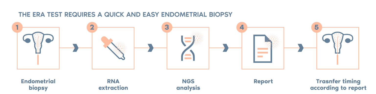 ERA: Endometrial Receptivity Analysis Test | Genetic Lab| Igenomix ME