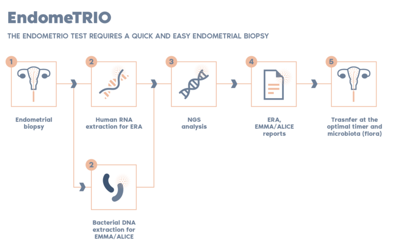 EndomeTRIO: The endometrium matters | Genetic Lab | Igenomix ME