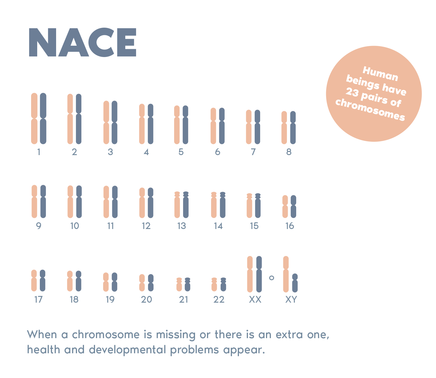 NACE: Non-invasive prenatal test | Healthy Pregnancy | Igenomix ME