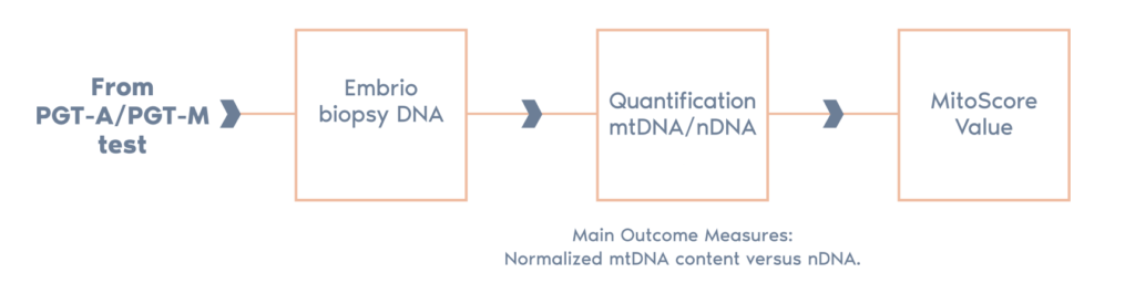 PGT-A: Preimplantation Genetic Testing for Aneuploidies | Igenomix ME