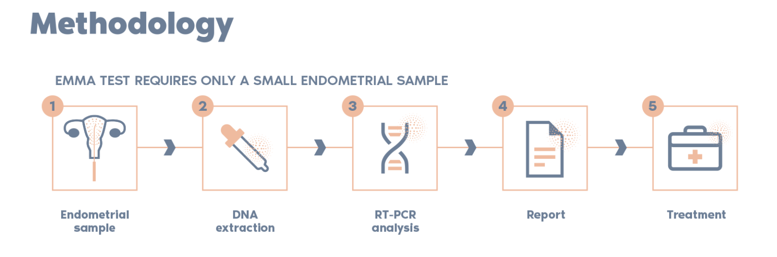 EMMA: Endometrial Microbiome Metagenomic Analysis | Igenomix ME